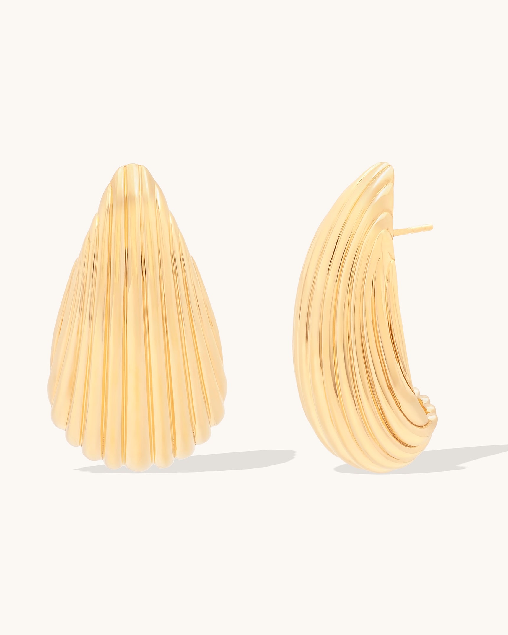 Shell Earrings